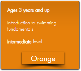 Noonan Family Swim School - Swim Levels | Noonan Family Swim School, Inc.